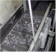 Haver CPA Versiones en Linea